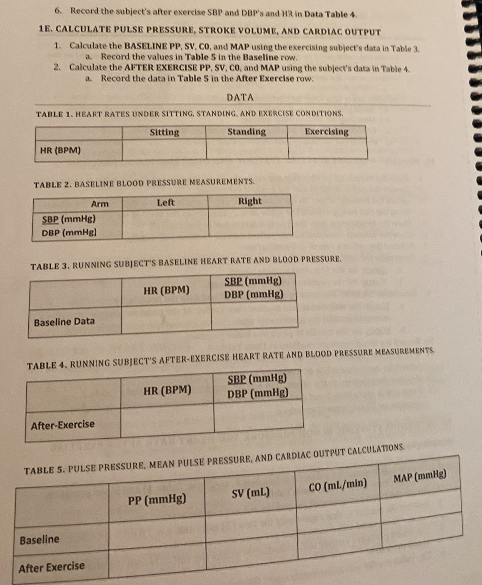 6. Record the subject's after exercise SBP | StudyX