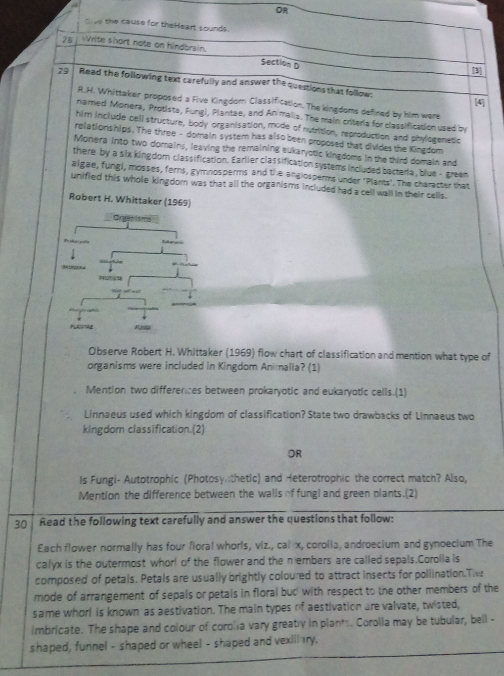 Observe Robert H. Whittaker (1969) flow | StudyX