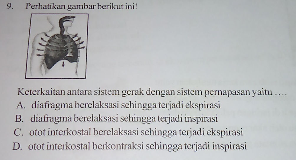 9. Perhatikan gambar berikut ini! | StudyX