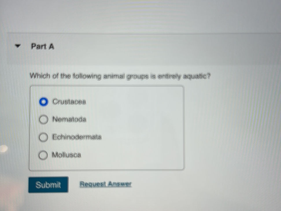 Which of the following animal groups is | StudyX