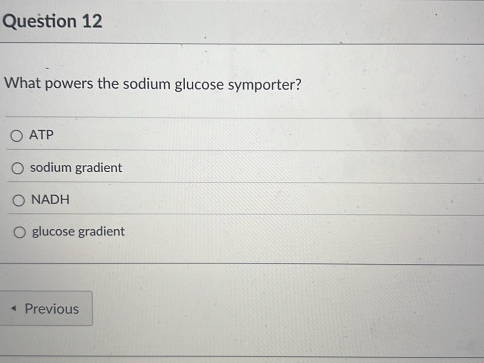 What powers the sodium glucose symporter? | StudyX