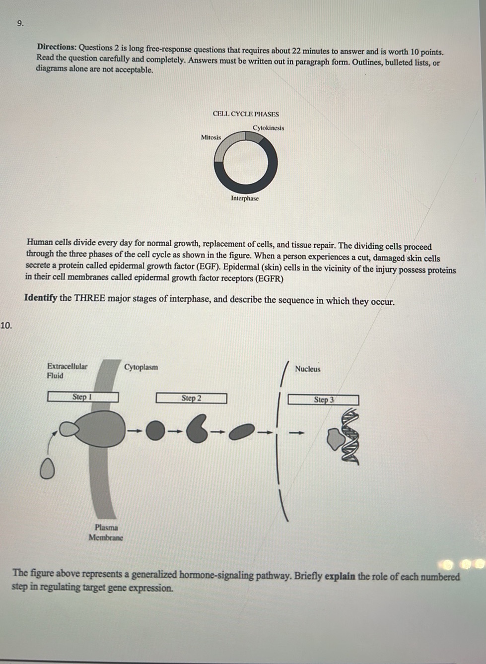 Identify the THREE major stages of | StudyX