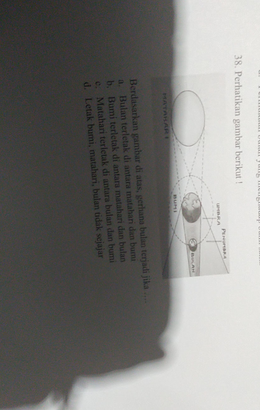 38. Perhatikan gambar berikut ! Berdasarkan | StudyX