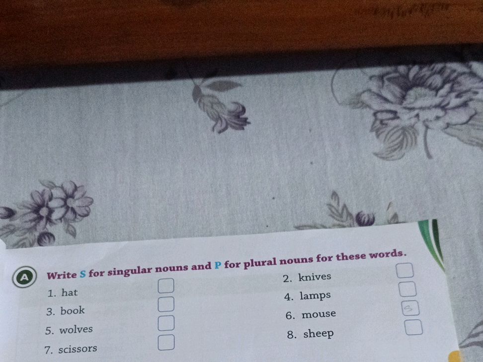 Write S for singular nouns and P for plural | StudyX