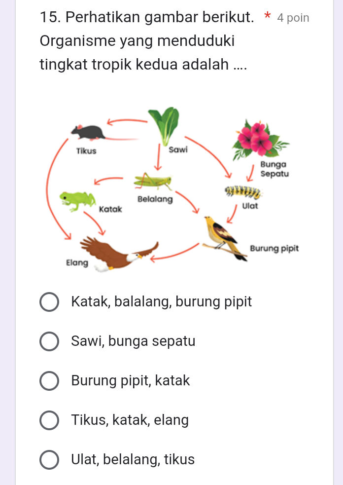 15. Perhatikan gambar berikut. Organisme | StudyX