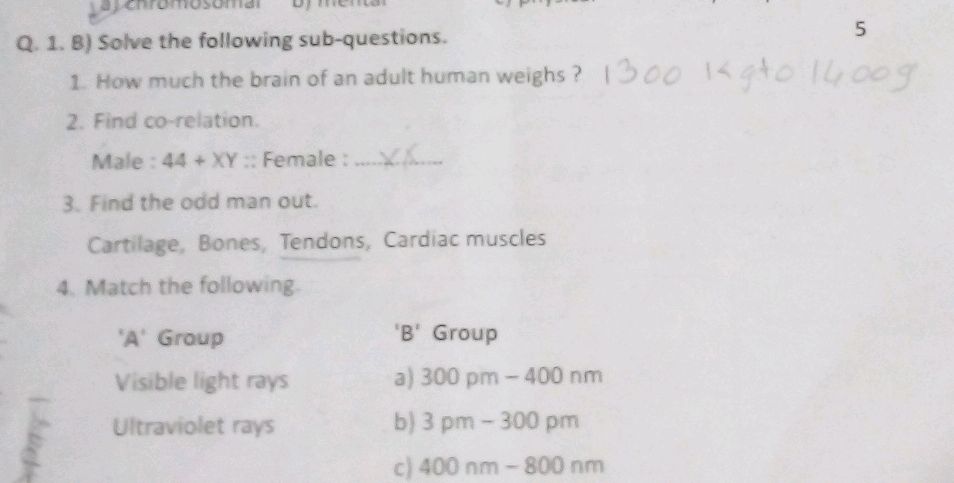 Q. 1. B) Solve the following sub-questions. | StudyX