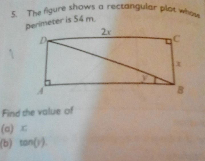 The figure shows a rectangular plot whose | StudyX