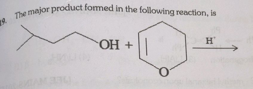 The major product formed in the following | StudyX