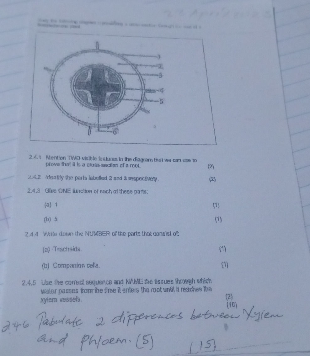 2.4.1 Mention TWO visible features in the | StudyX