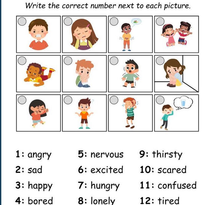 Write the correct number next to each | StudyX