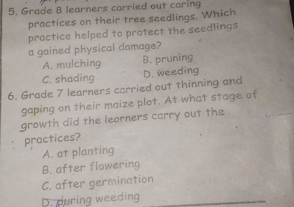 5. Grade 8 learners carried out caring | StudyX