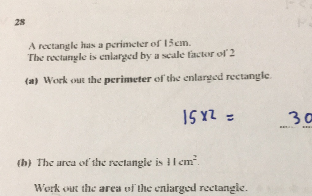 A rectangle has a perimeter of 15cm. The | StudyX