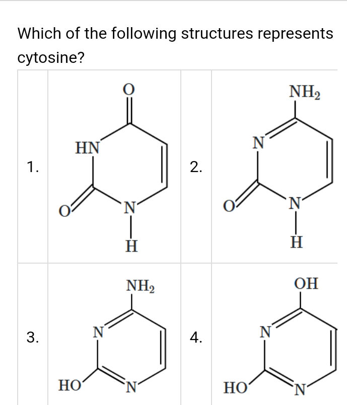 Which of the following structures represents | StudyX