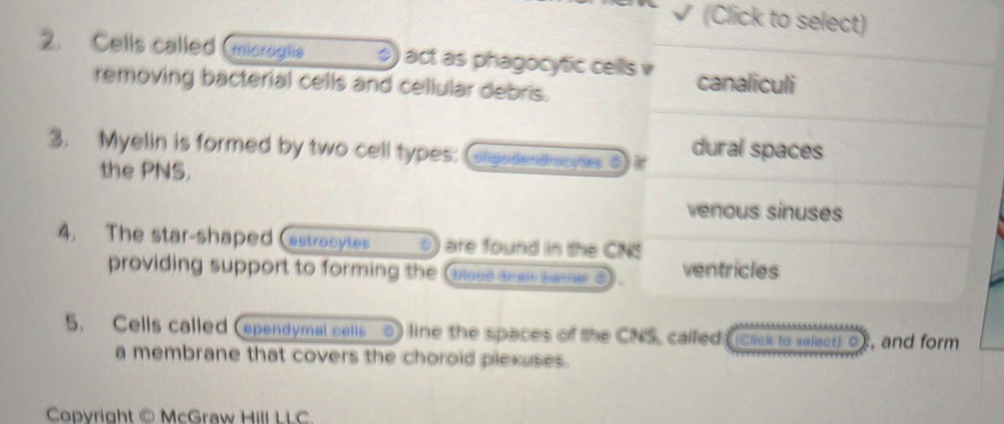2. Cells called microglia act as phagocytic | StudyX