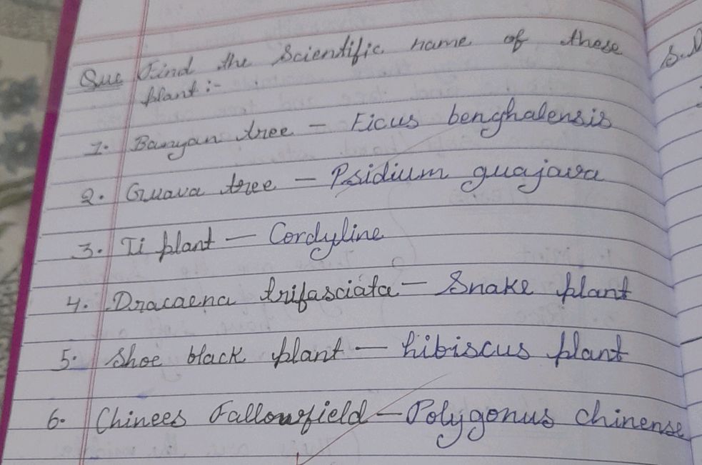 Que Find the Scientific name of these | StudyX