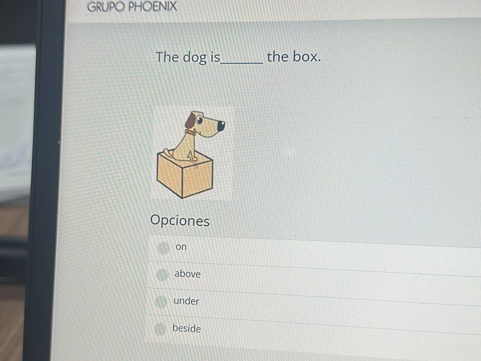 The dog is ______ the box. Opciones on | StudyX