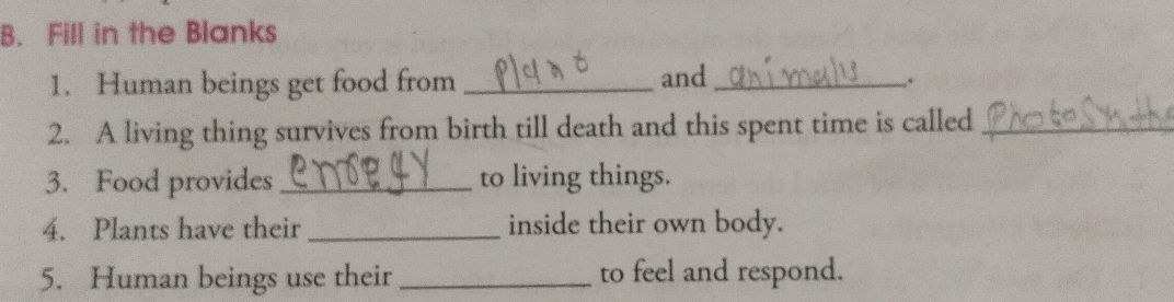 B. Fill in the Blanks 1. Human beings get | StudyX