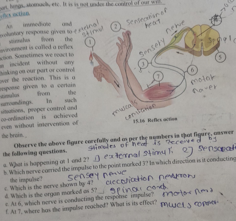Observe the above figure carefully and as | StudyX