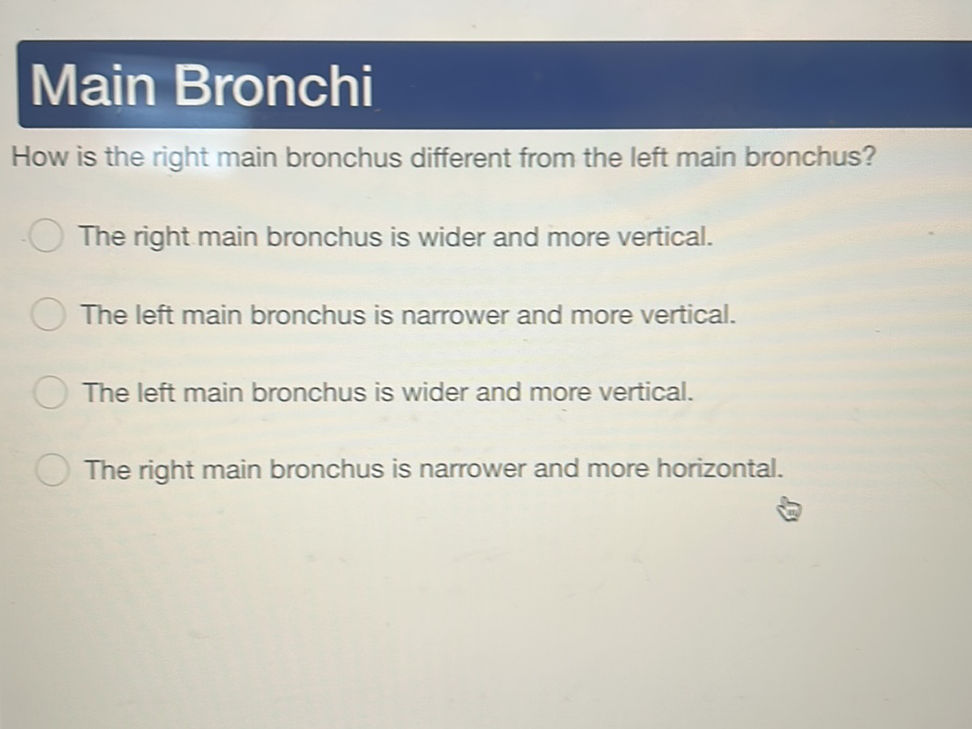 How is the right main bronchus different | StudyX