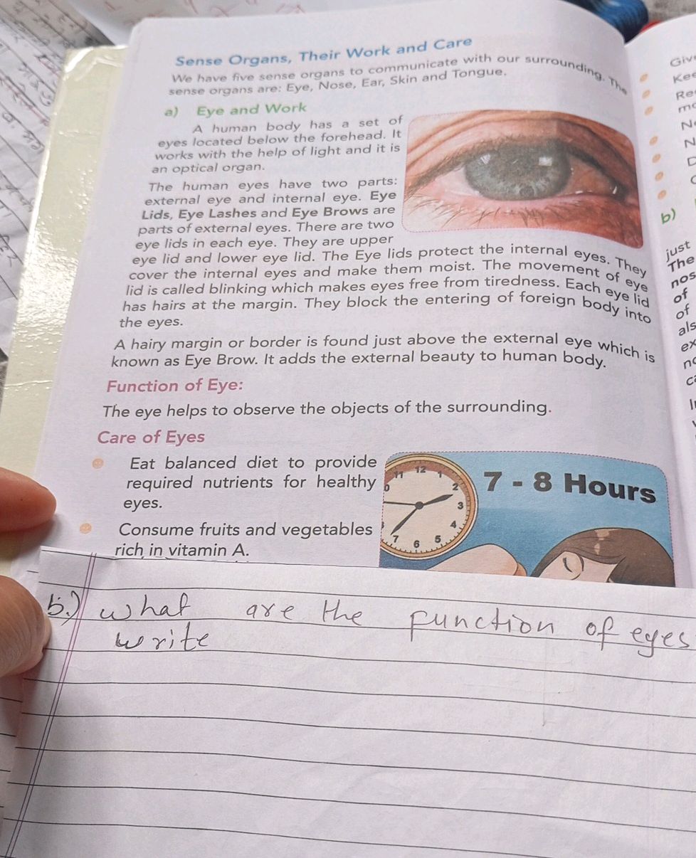 What are the functions of the eyes? | StudyX