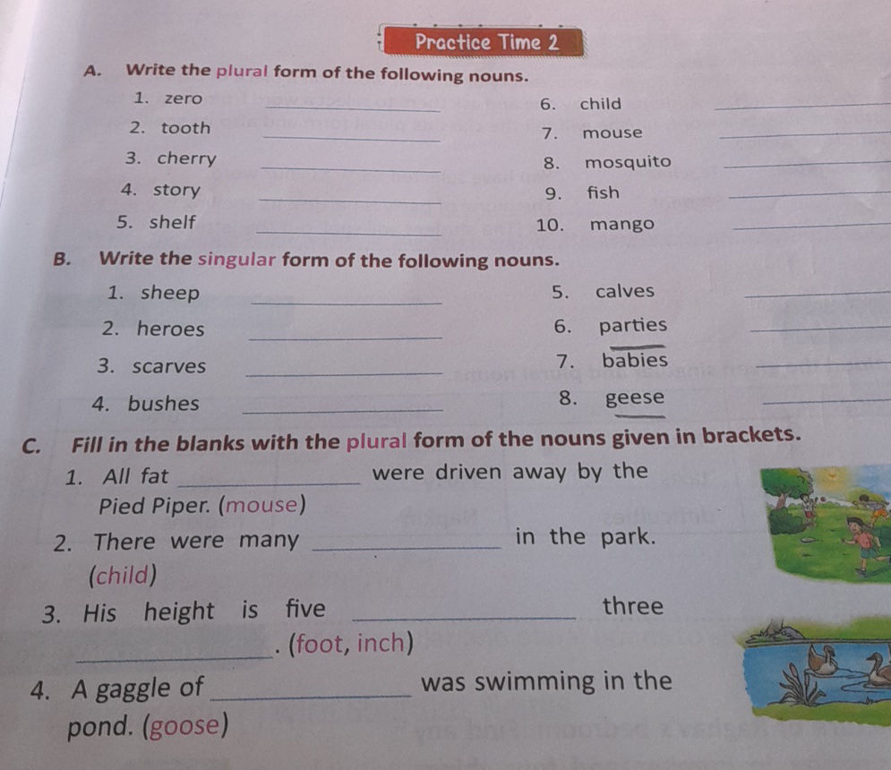 A. Write the plural form of the following | StudyX
