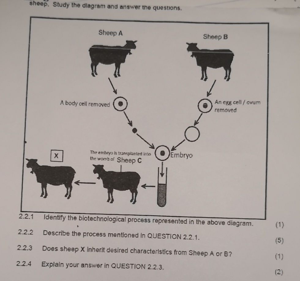 2.2.1 Identify the biotechnological process | StudyX
