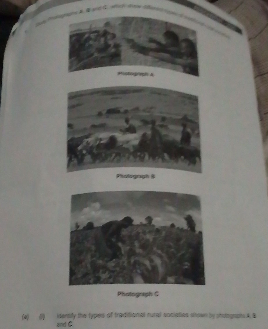 Identify the types of traditional rural | StudyX