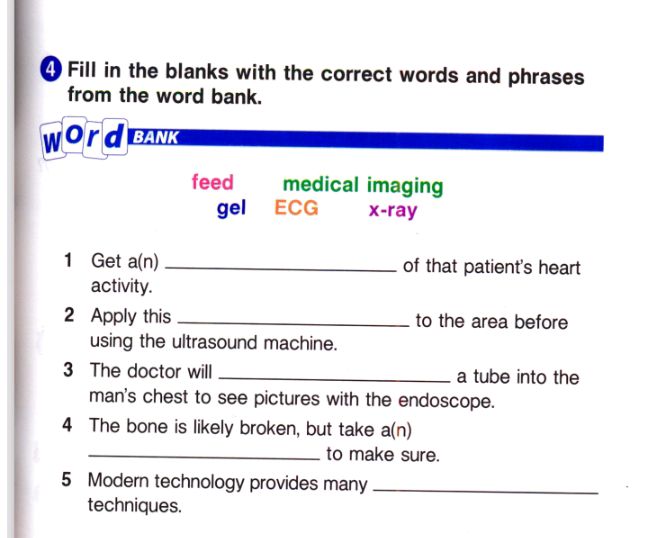 Fill in the blanks with the correct words | StudyX