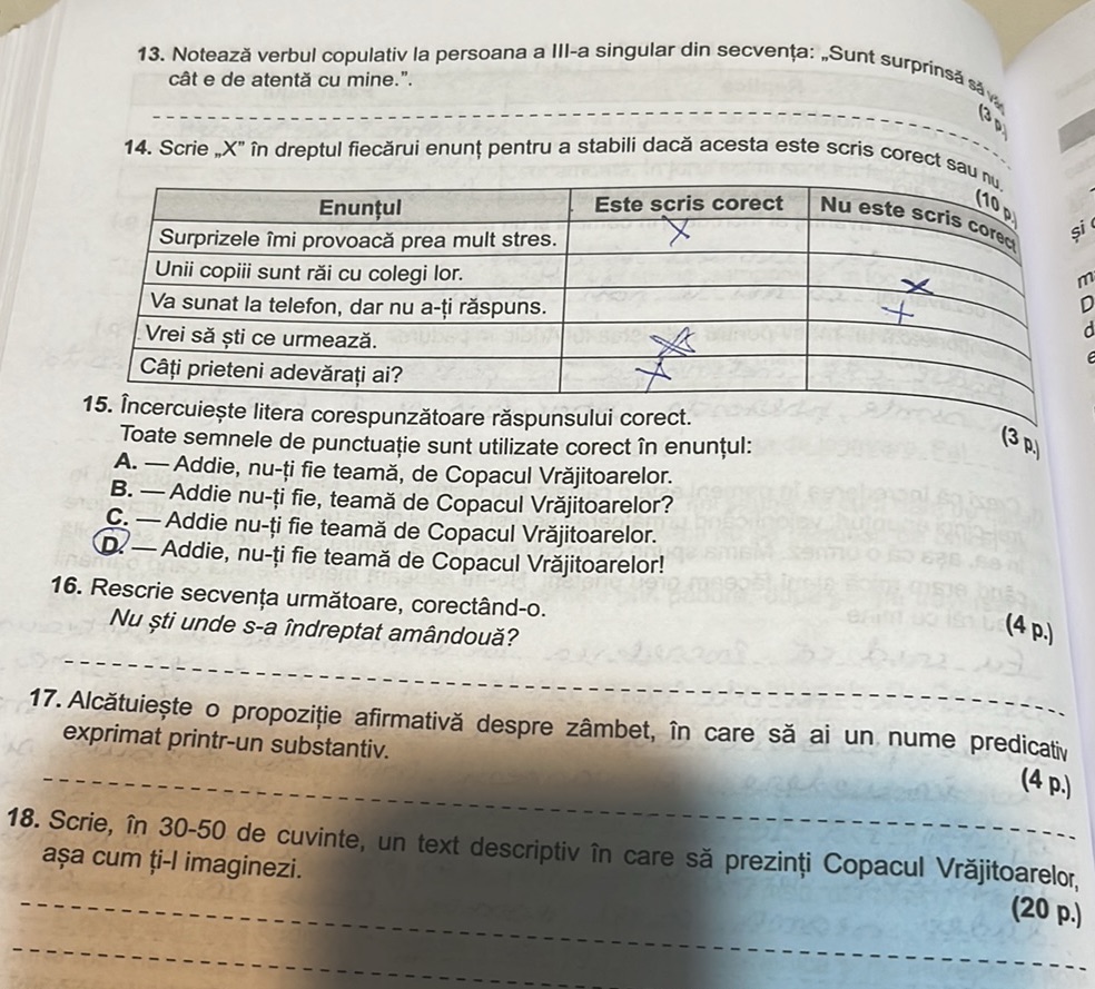 13. Notează verbul copulativ la persoana a | StudyX