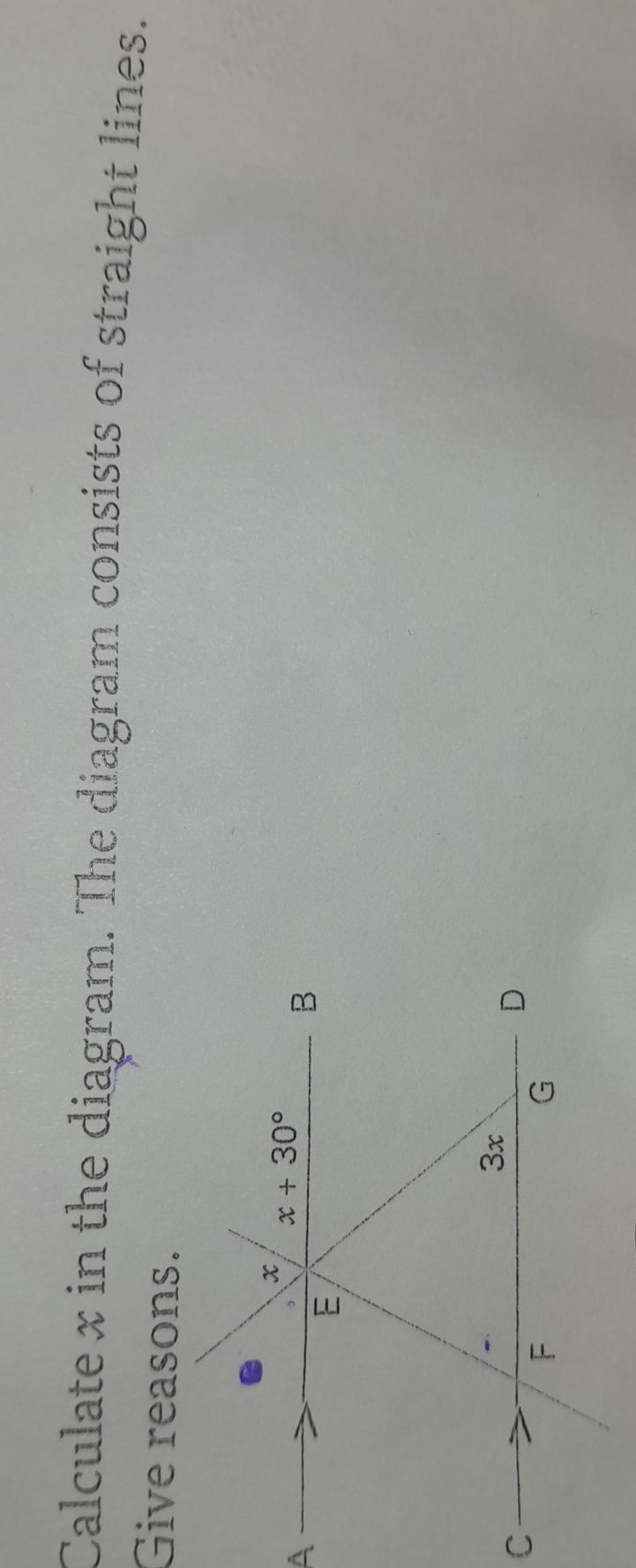 Calculate *x* in the diagram. The diagram | StudyX
