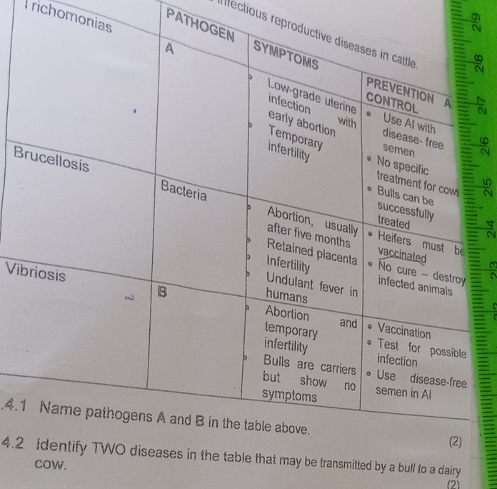 4.1 Name pathogens A and B in the table | StudyX