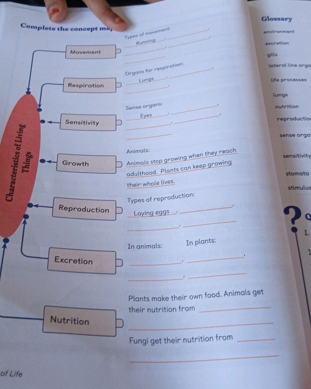 Complete the concept map. Characteristics | StudyX