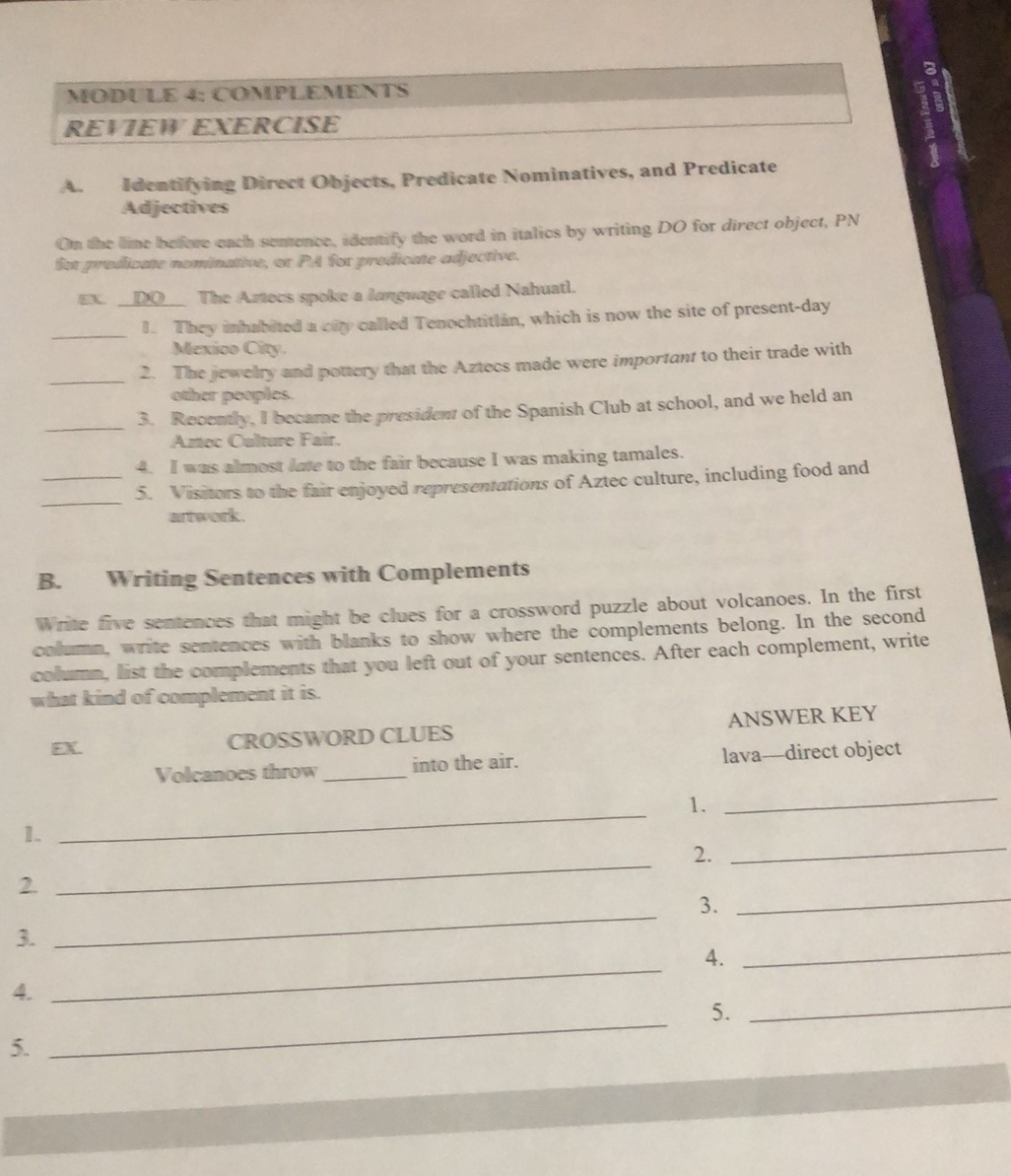 A. Identifying Direct Objects, Predicate | StudyX