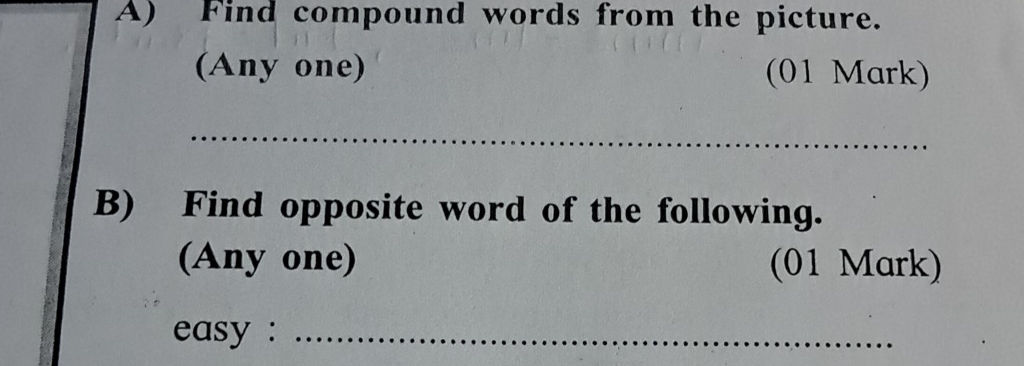 A) Find compound words from the picture. | StudyX