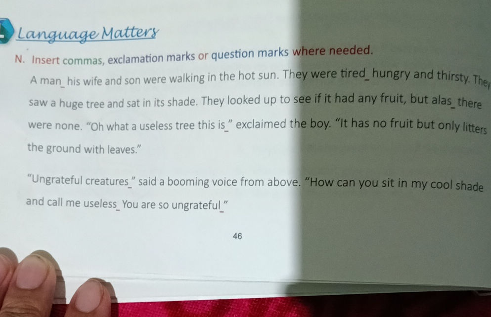 N. Insert commas, exclamation marks or | StudyX