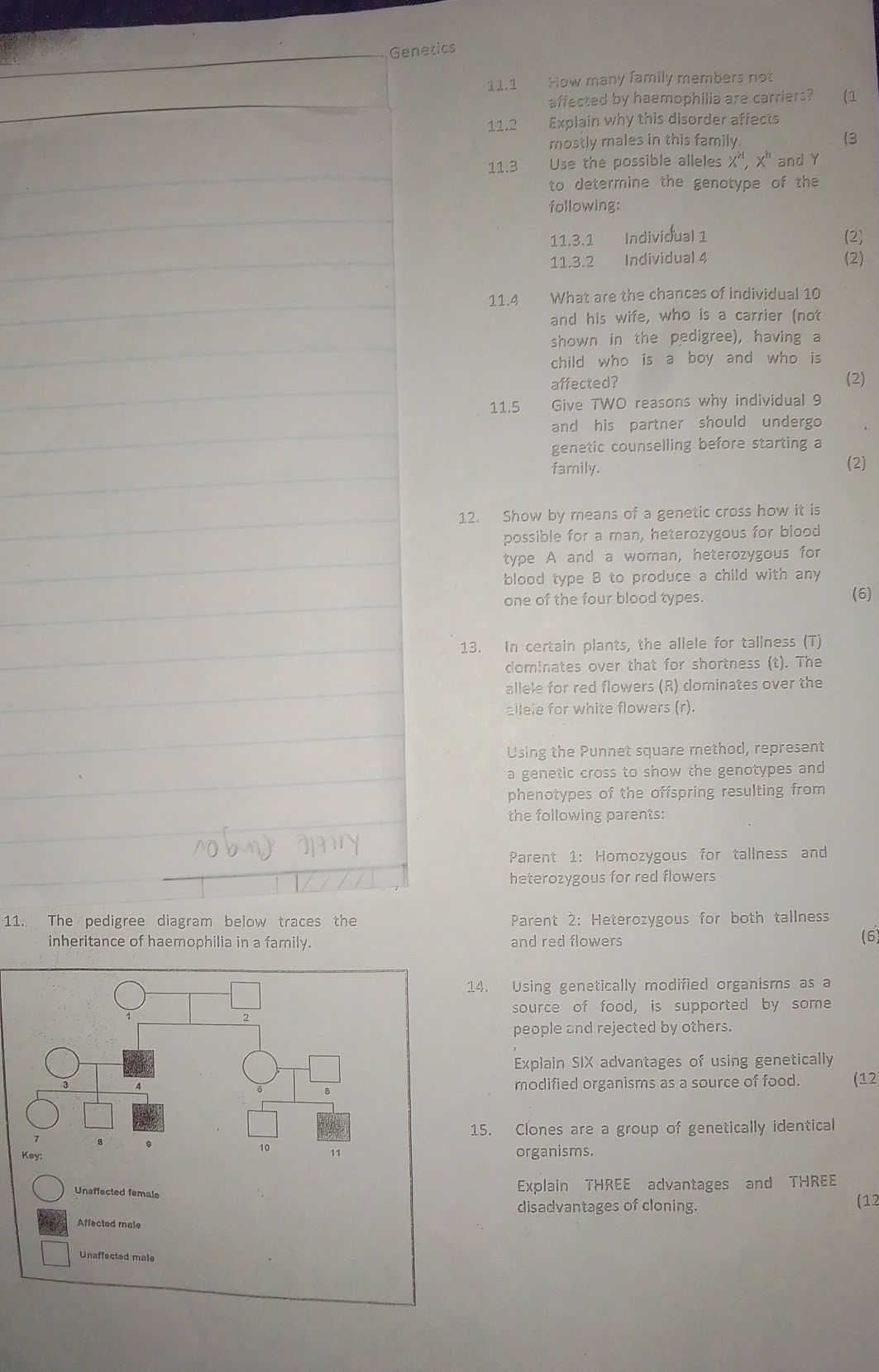 11. The pedigree diagram below traces the | StudyX