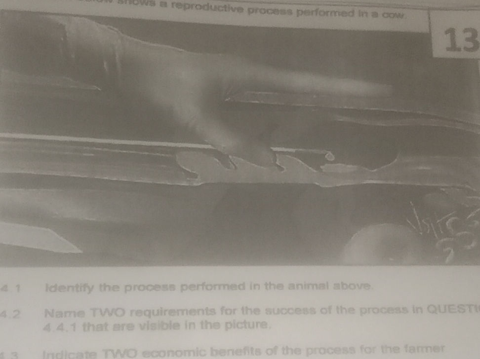 4.1 Identify the process performed in the | StudyX