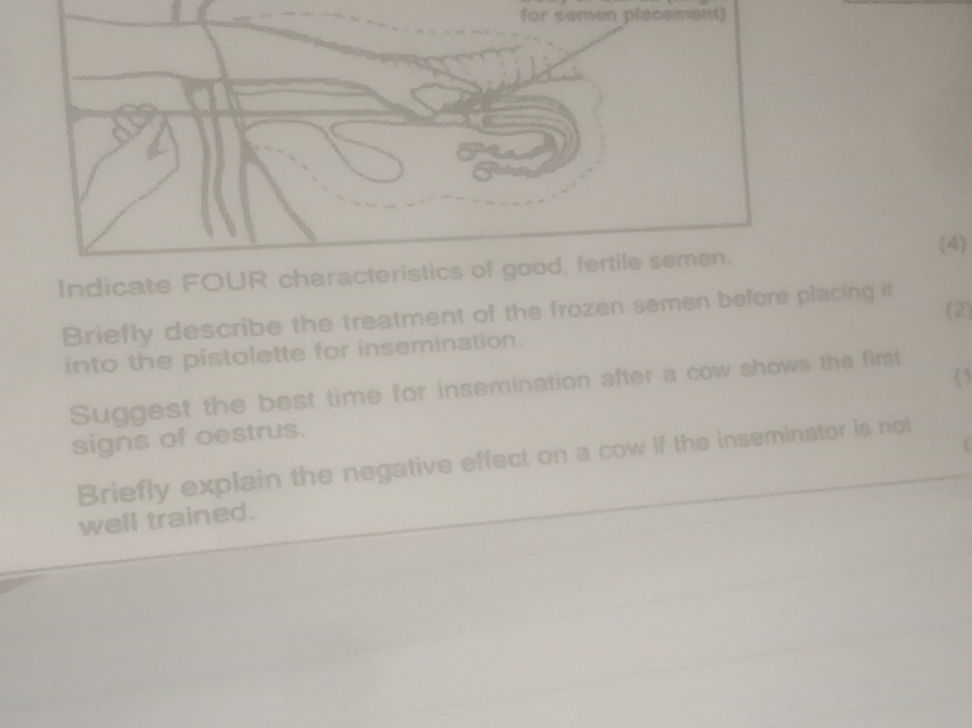 Indicate FOUR characteristics of good, | StudyX