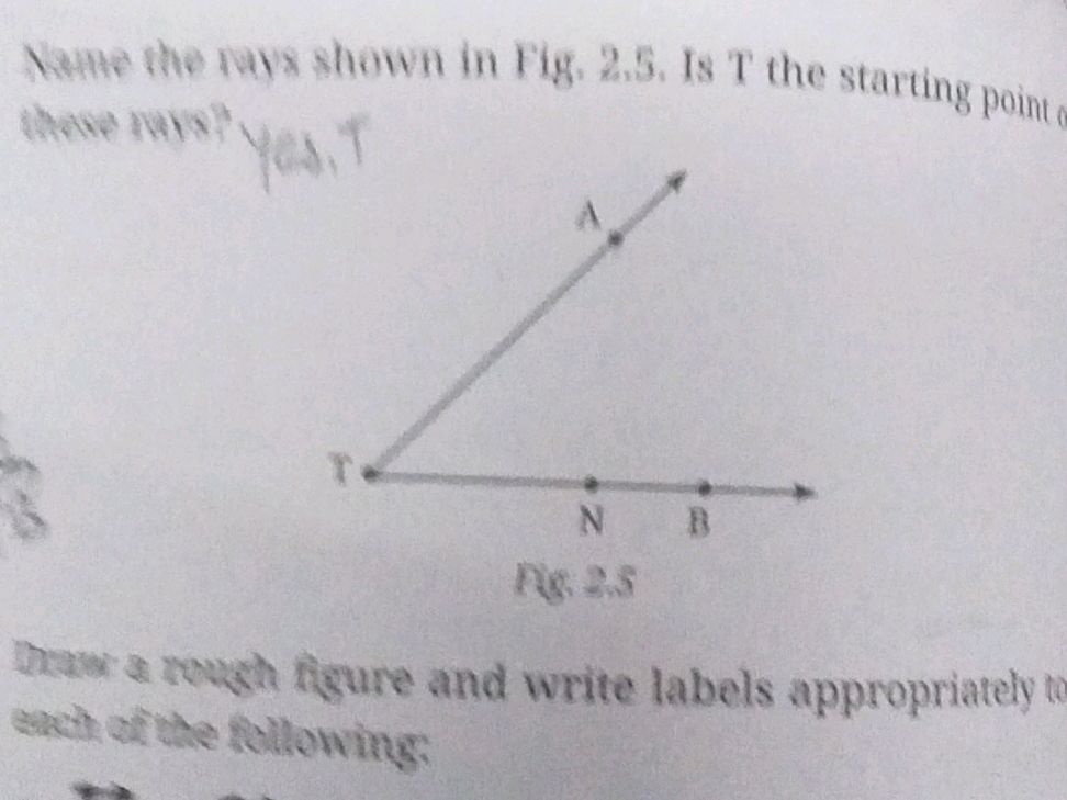 Name the rays shown in Fig. 2.5. Is T the | StudyX