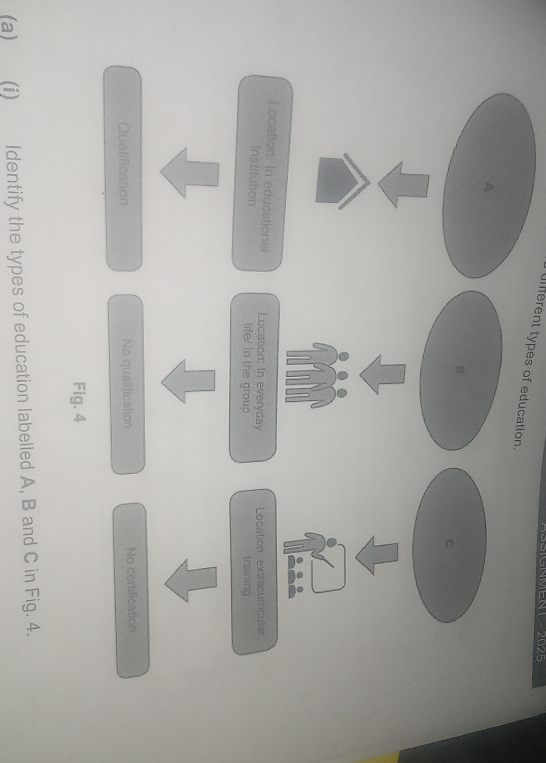 Identify the types of education labelled A, | StudyX