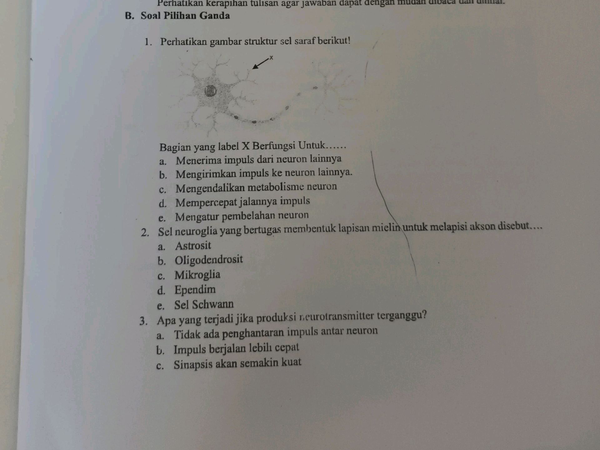 1. Perhatikan gambar struktur sel saraf | StudyX