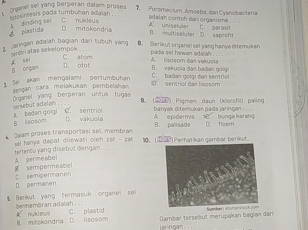 1. Organel sel yang berperan dalam proses | StudyX