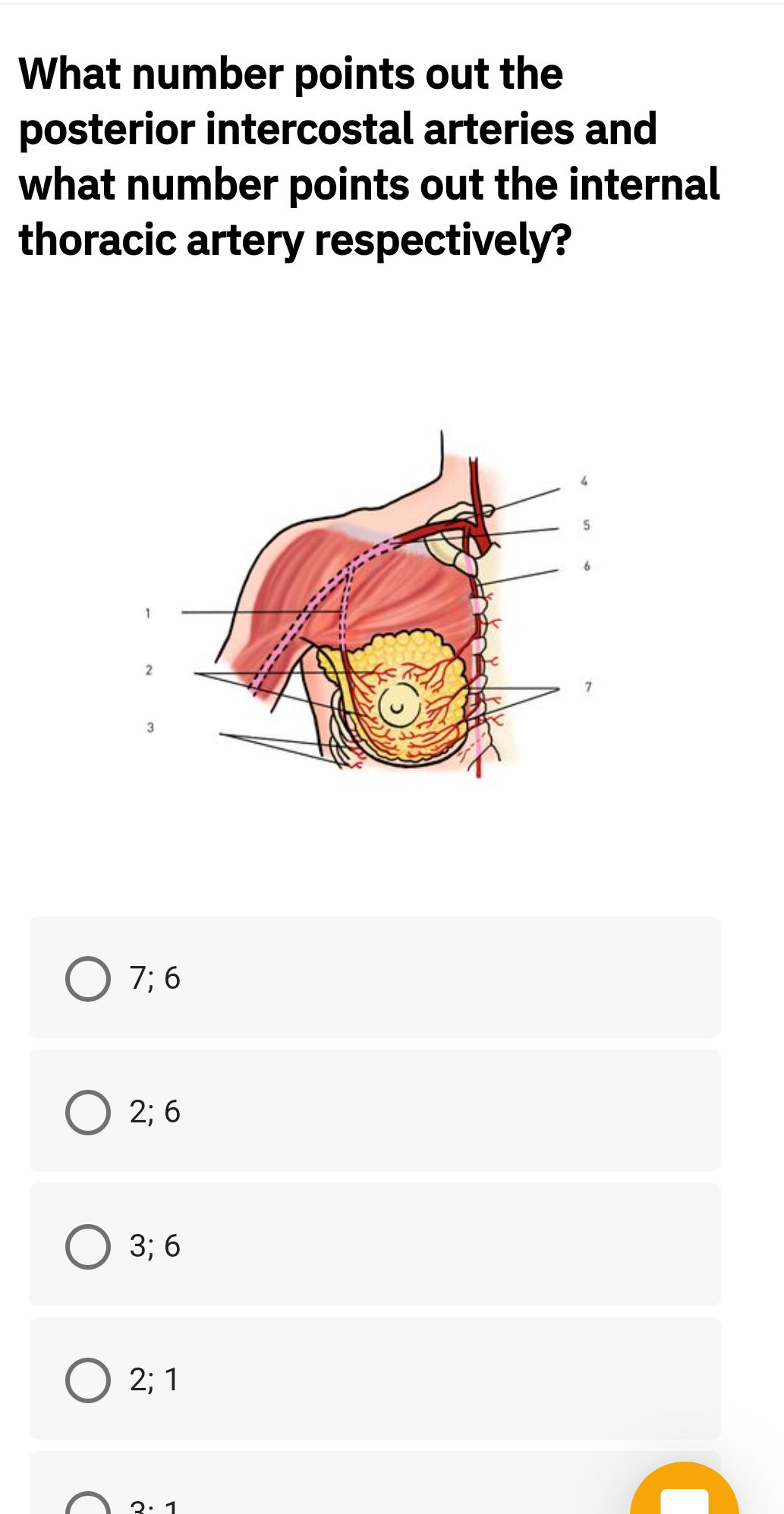 What number points out the posterior | StudyX
