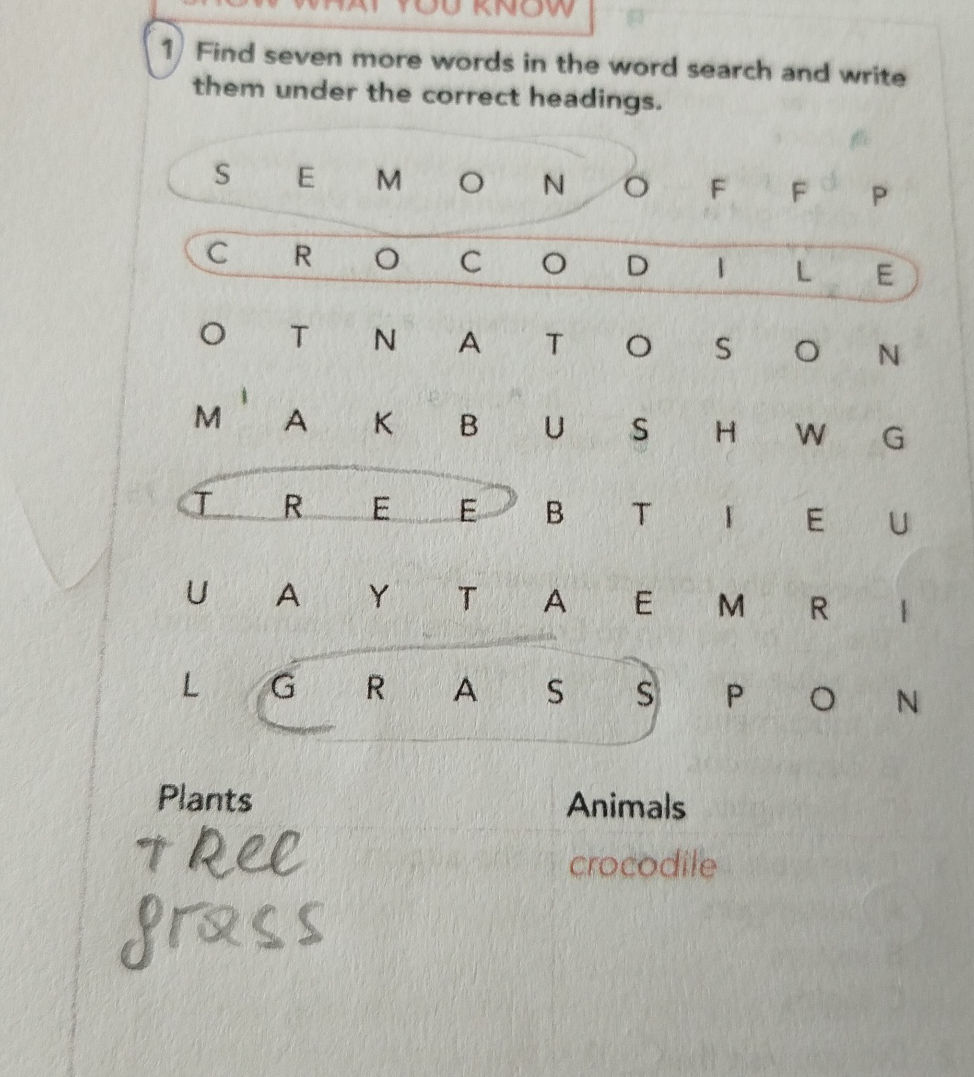 Find seven more words in the word search and | StudyX