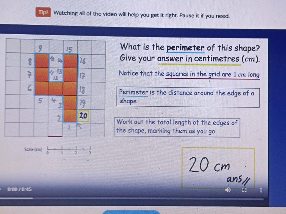 What is the perimeter of this shape? Give | StudyX