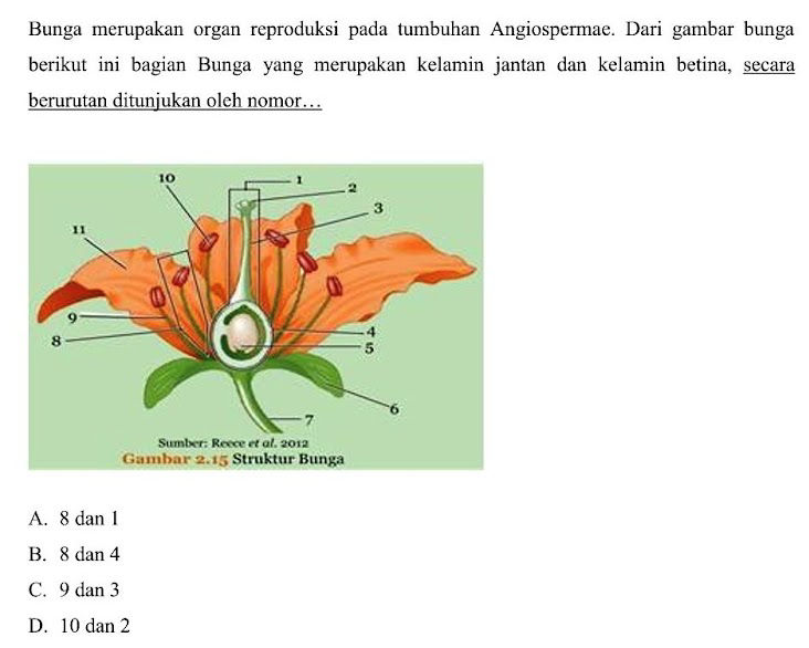 Bunga merupakan organ reproduksi pada | StudyX