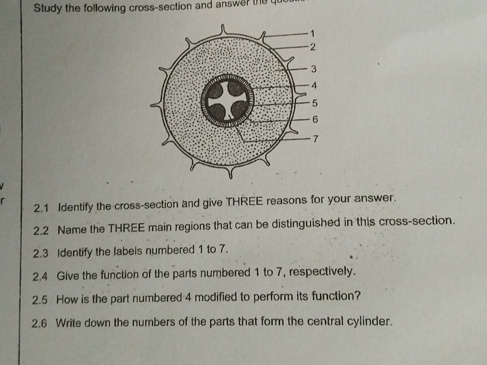 2.1 Identify the cross-section and give | StudyX