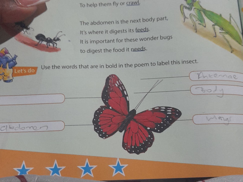 Use the words that are in bold in the poem | StudyX