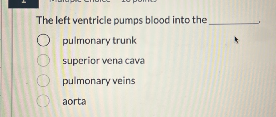 The left ventricle pumps blood into the | StudyX