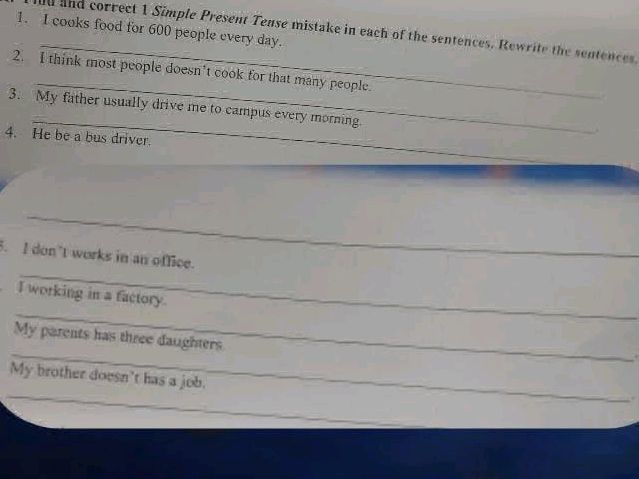 Find and correct 1 Simple Present Tense | StudyX